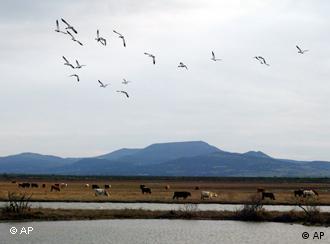 Greece: the Perilous River Evros – DW – 05/31/2018