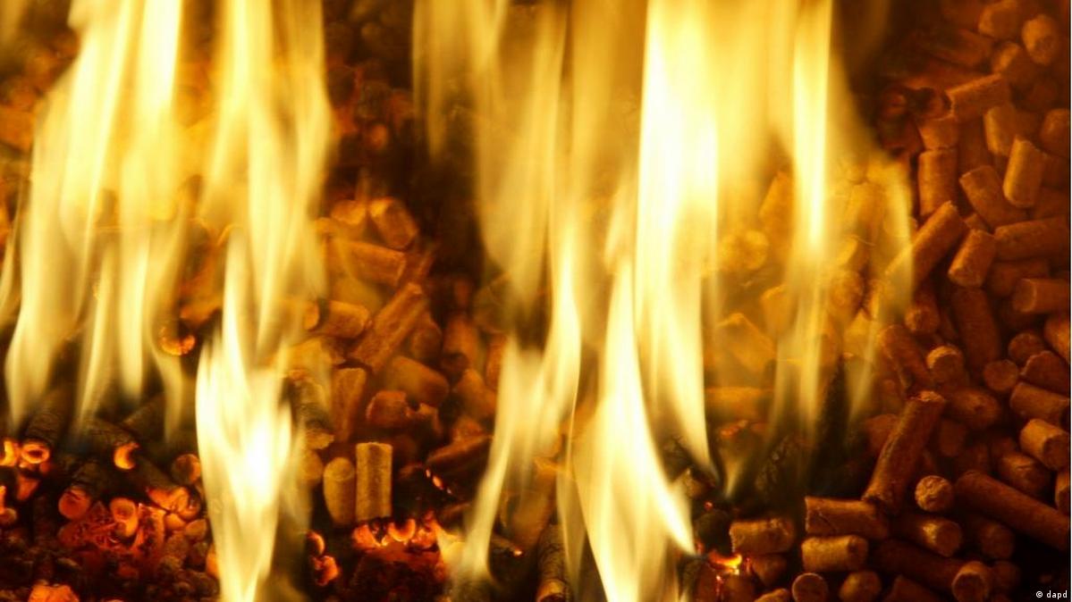 Fire Wood Burning