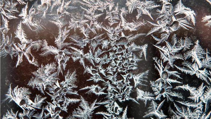 Die Eisblume