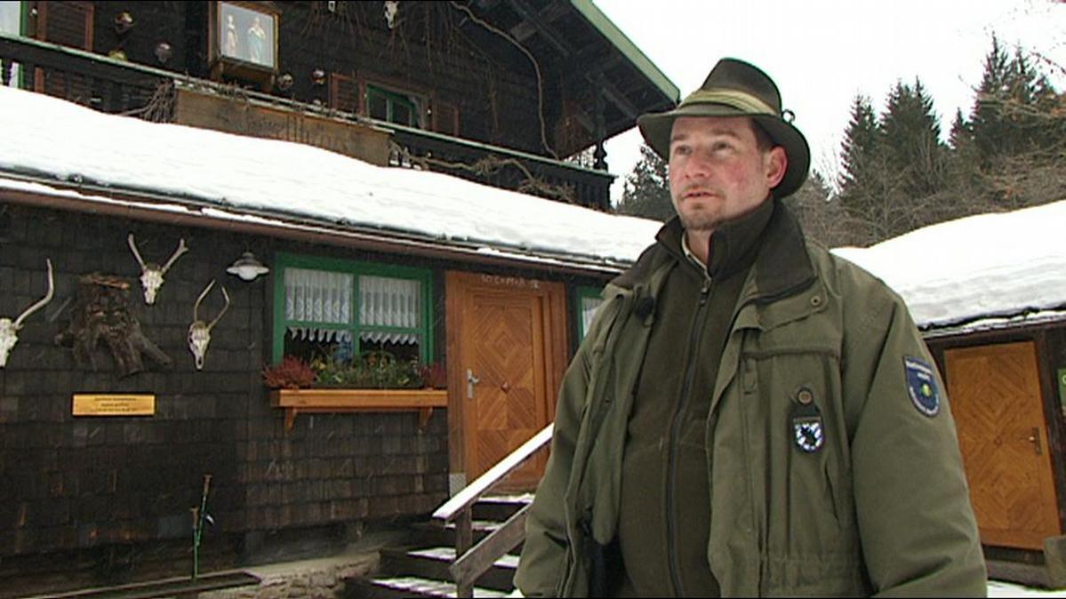 Bavarian Forest – Three Travel Tips – DW – 02/11/2013