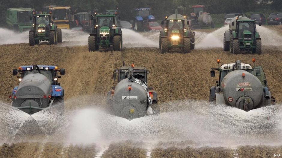 German farmers suffer – DW – 12/08/2015