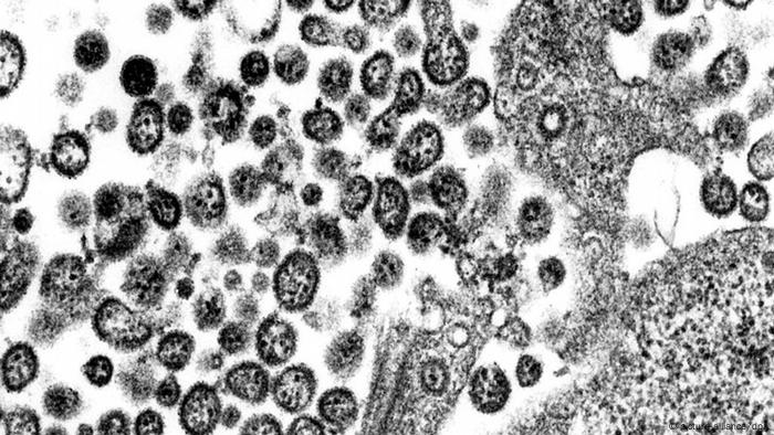 Os 10 vírus mais perigosos do mundo | Veja todo o conteúdo audiovisual ...