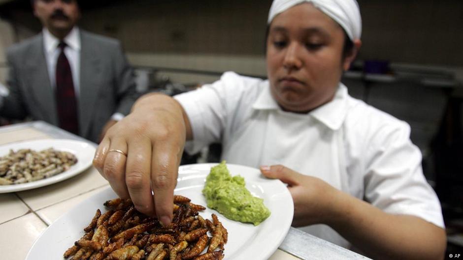 Gourmet insects – DW – 06/22/2013