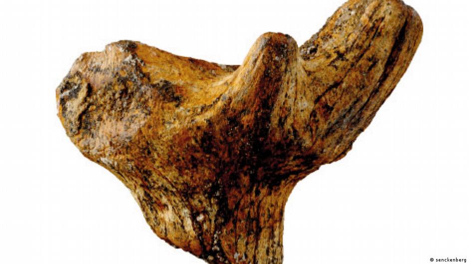 Old Man River – DW – 05/21/2012