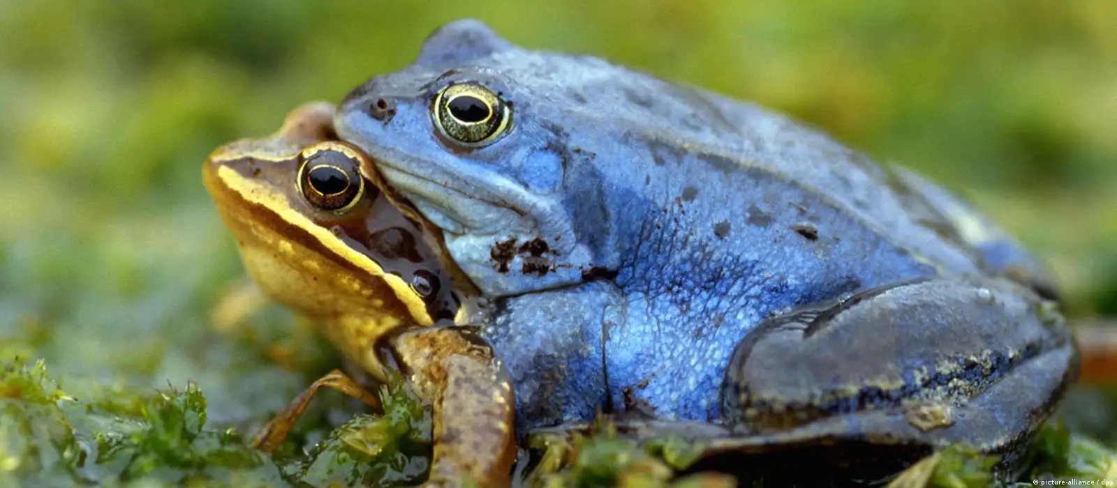 حیوانسکس - Sexy Media Girls on sonnuoctot.com