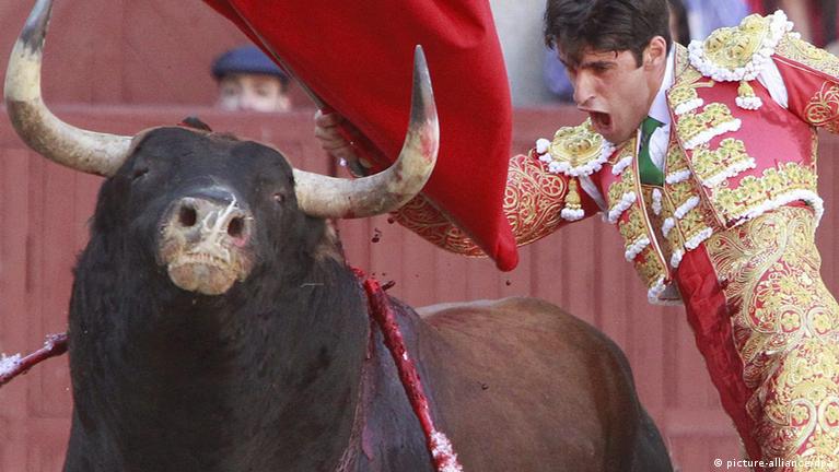 Does the color red really make bulls angry?