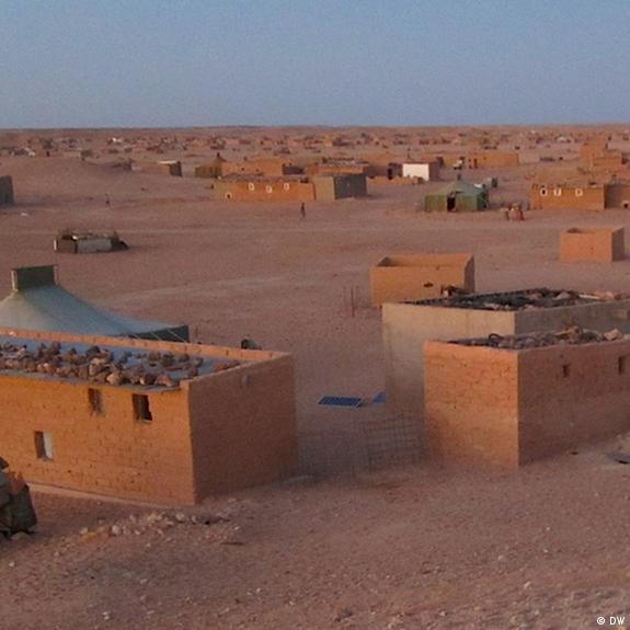 Western Sahara Landscape
