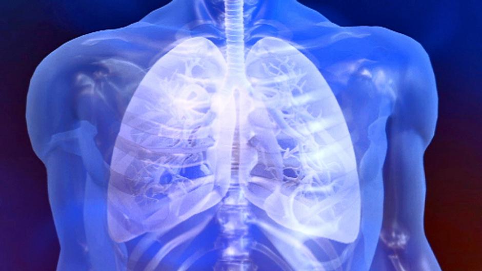 La importancia de los pulmones – DW – 26/07/2012