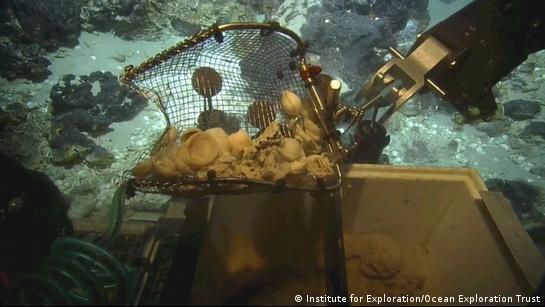 Deep sea secrets – DW – 08/31/2012