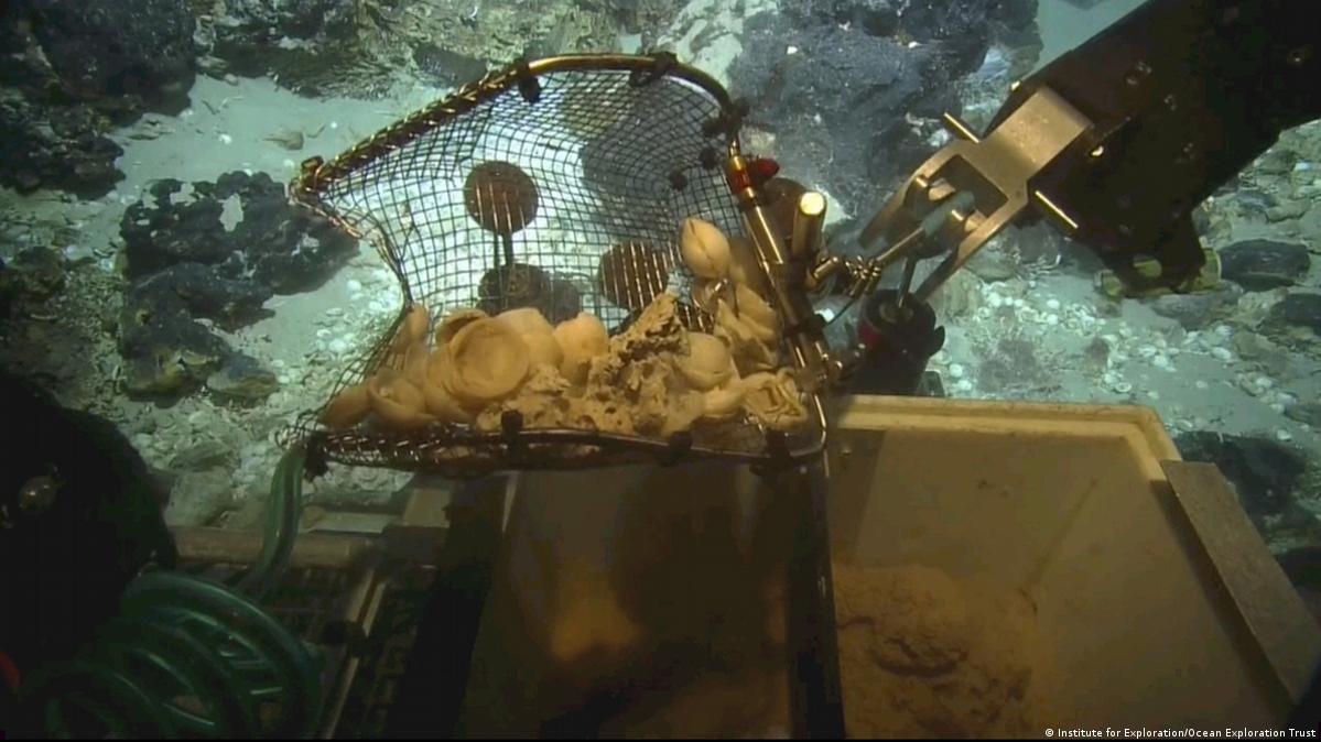 Deep sea secrets – DW – 08/31/2012