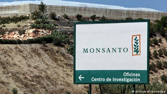 Monsanto disputes herbicide causes cancer – DW – 10/21/2015