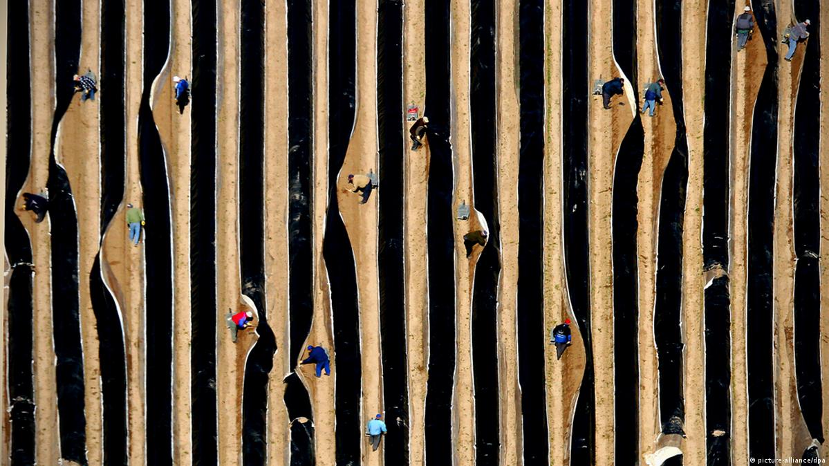 Soil data from around the world – DW – 11/06/2012