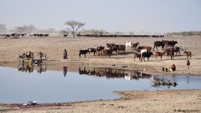 The uphill battle facing Chad′s new Transition Council | Africa | DW ...