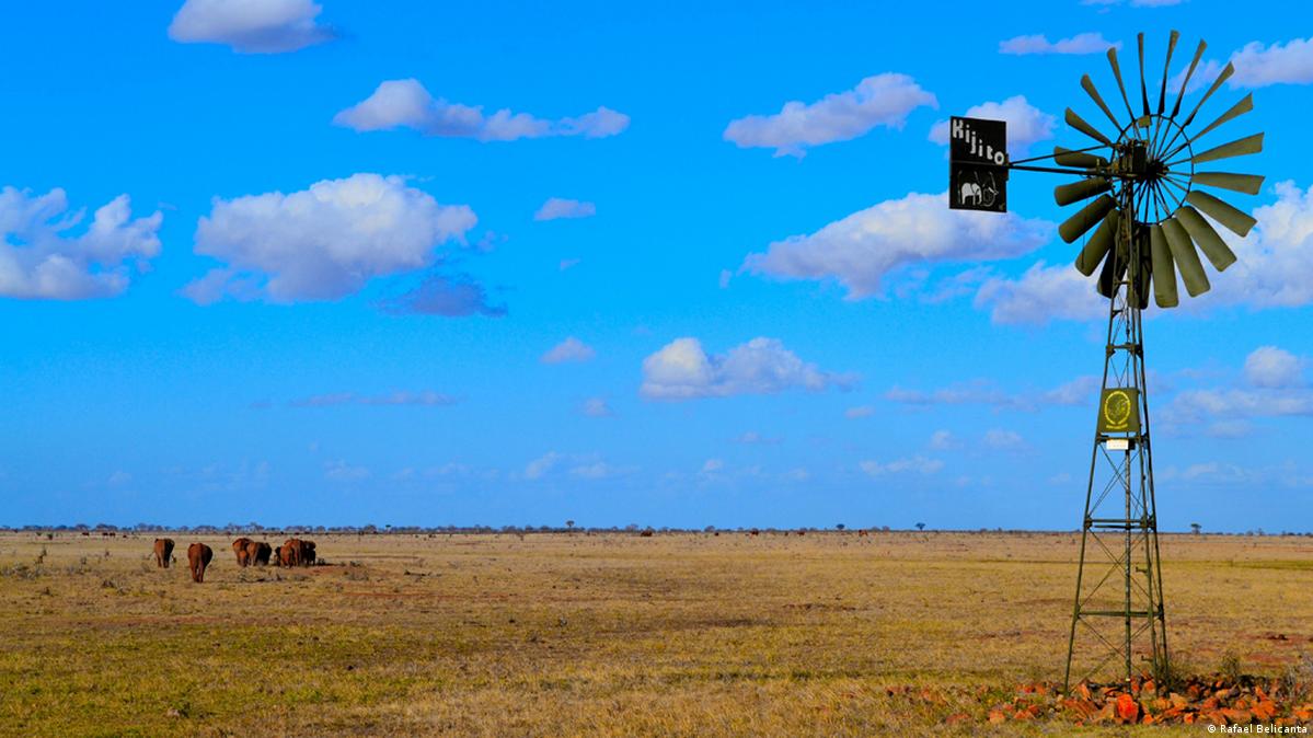 William and the Windmill – DW – 06/01/2017