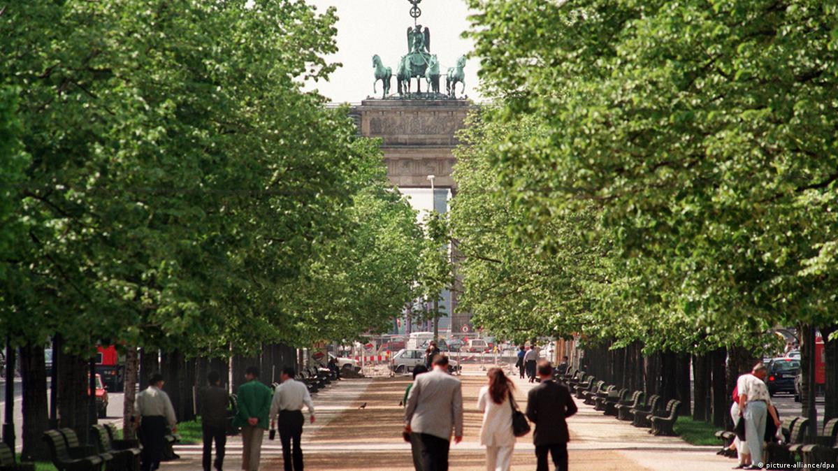 Trees on the streets of Berlin – DW – 10/28/2013