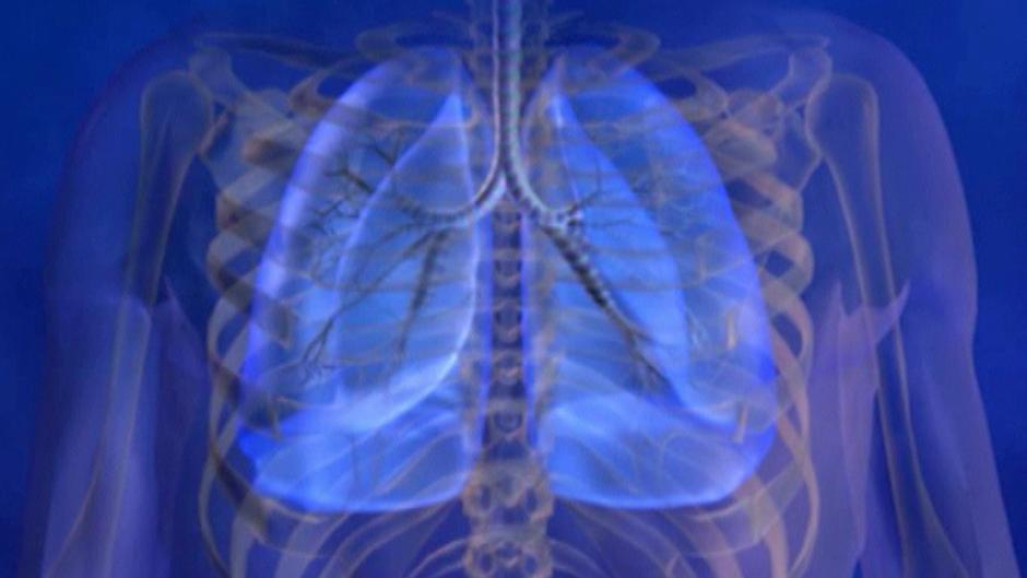 Facts about Breathing – DW – 01/24/2013