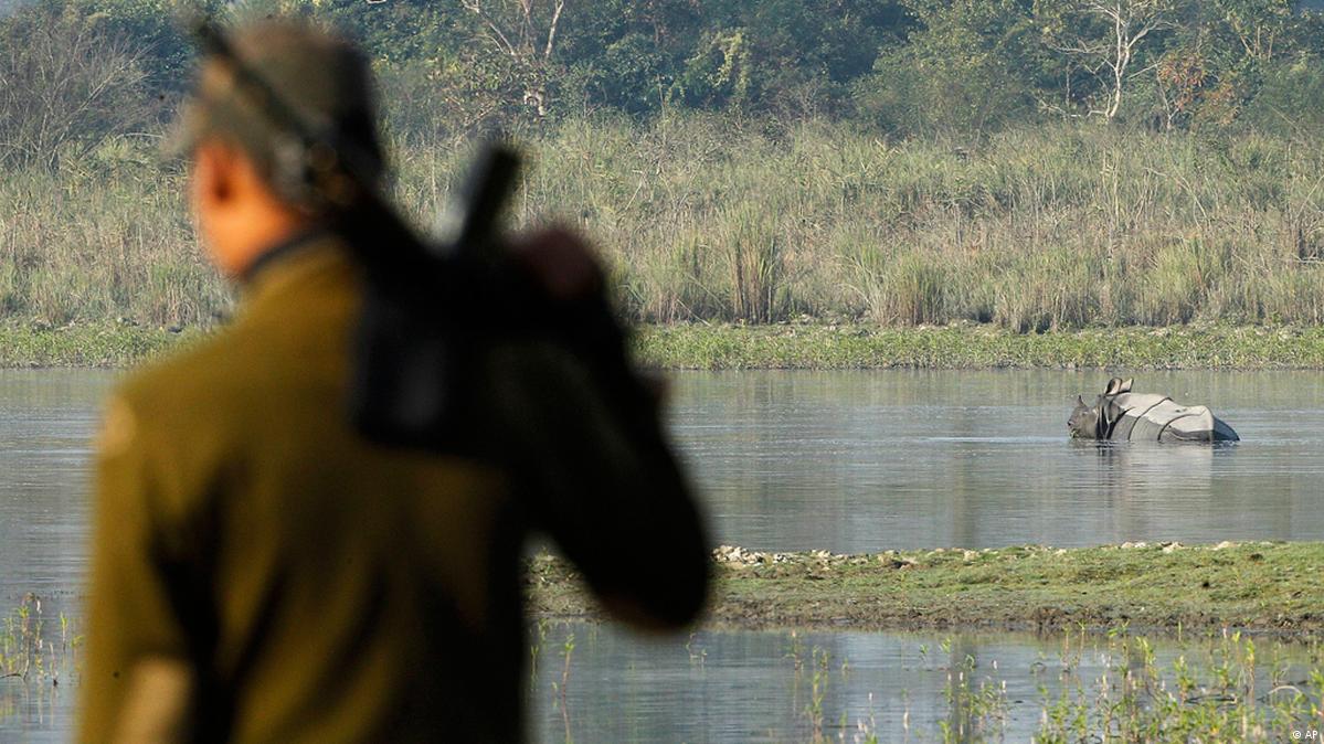 Digital technology aids both sides in poaching battle – DW – 08/05/2015