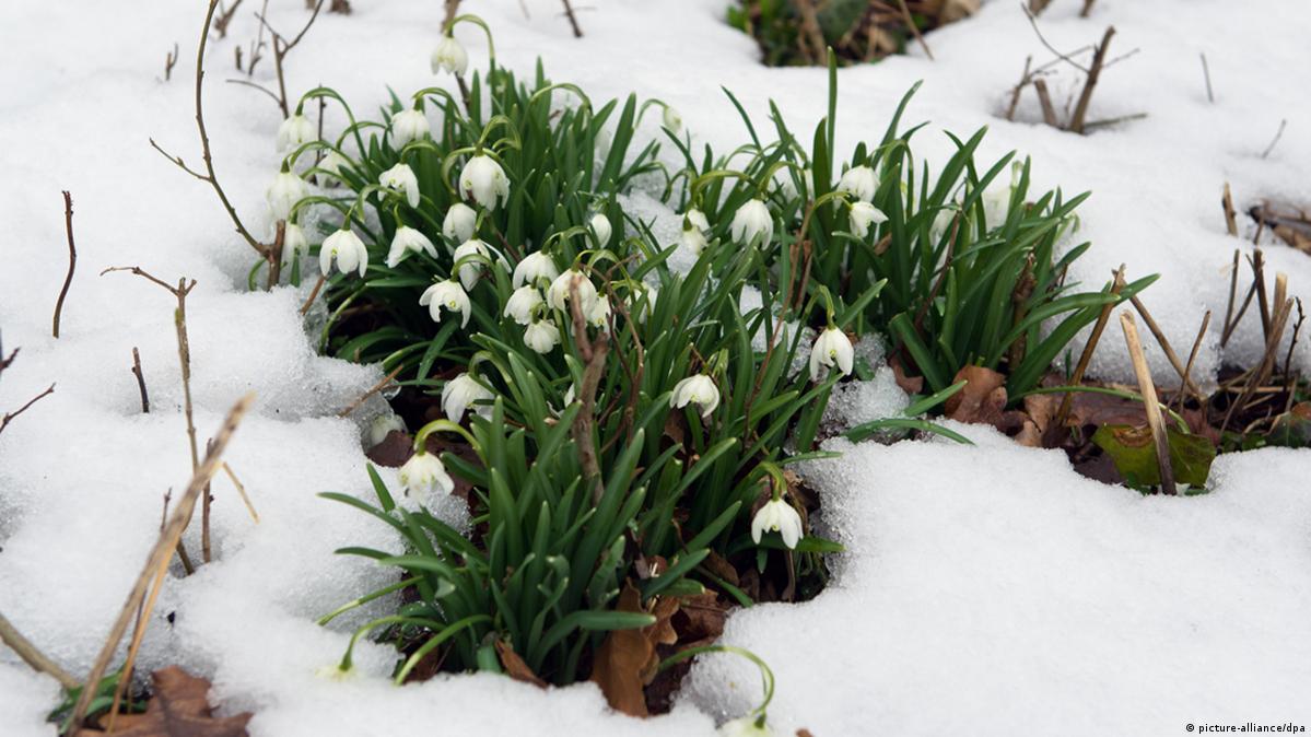 Climate conundrum – DW – 04/18/2013