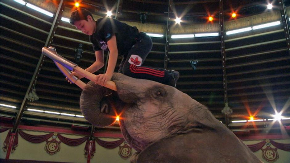 Under the big top – DW – 04/09/2013