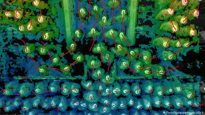 Mass experiment on crowd behavior | All media content | DW | 05.07.2013