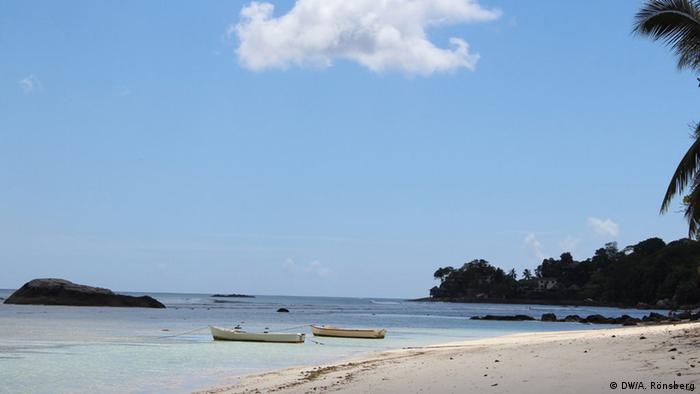 Fondos azules: cómo ganar dinero con el medioambiente | Economía | DW ...