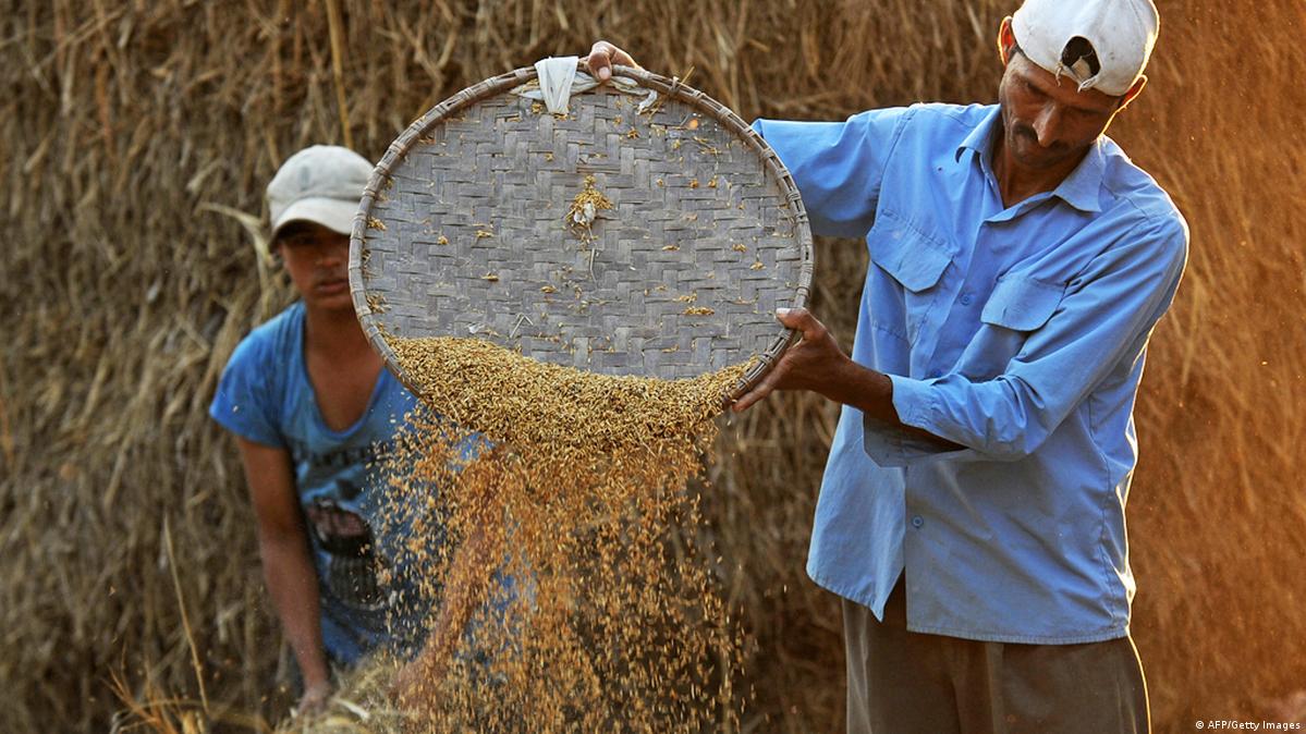 Fighting hunger – DW – 08/06/2013