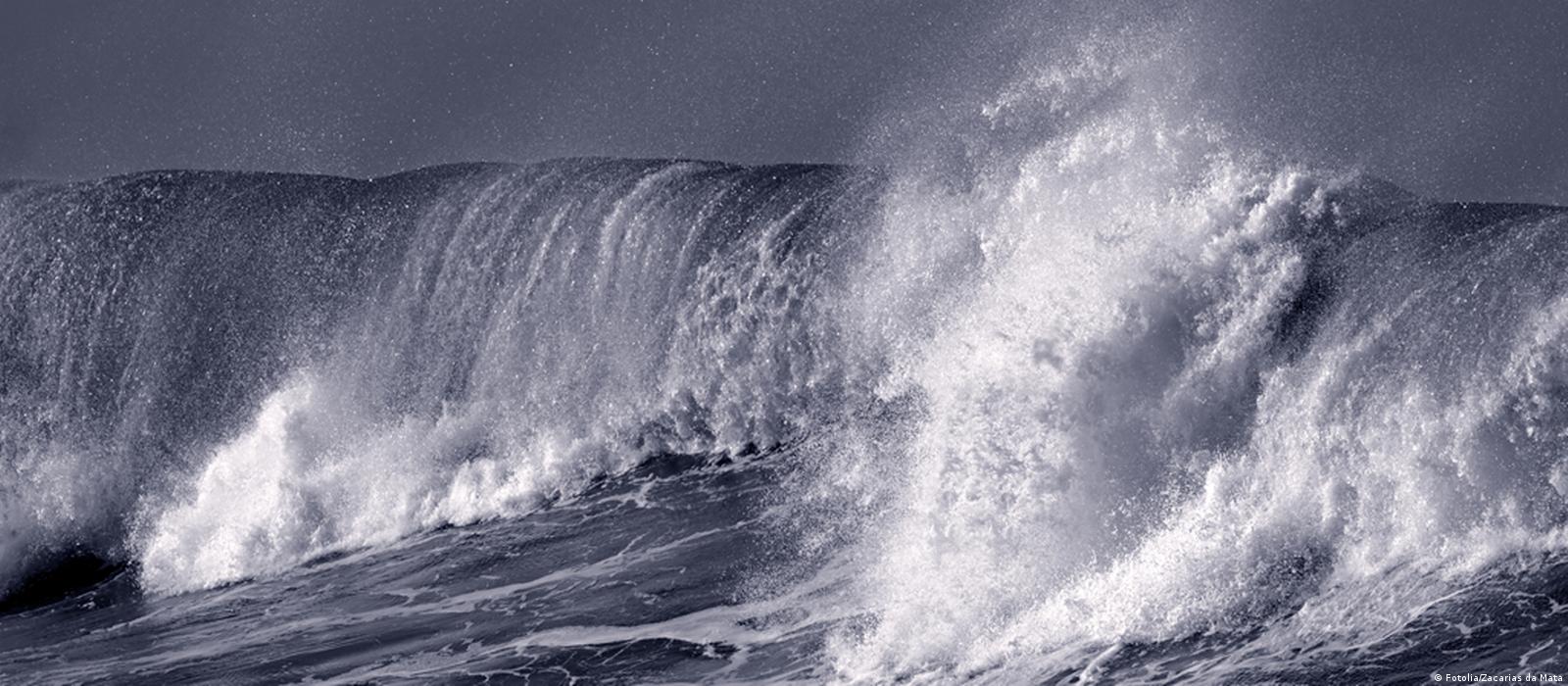 Real Tsunami Wave Pictures