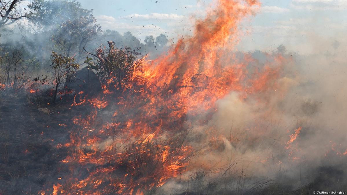 Curbing forest fires – DW – 09/03/2013