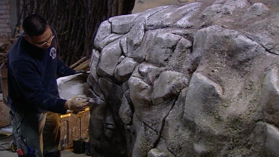 Copying Nature – DW – 09/17/2013