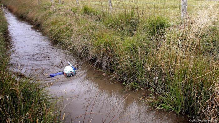 5 crazy contests you′ve probably never heard of | Culture | Arts, music ...