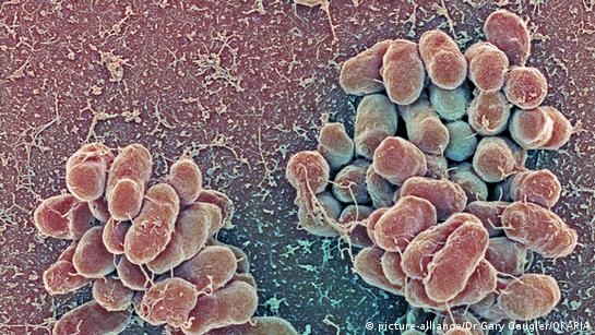 Waterborne diseases