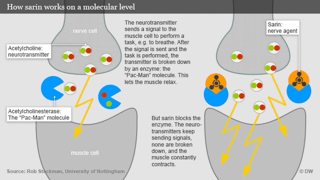 Sarin Gas Effects