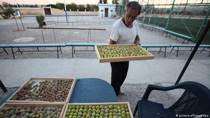 Syriens Wirtschaft am Boden zerstört | Wirtschaft | DW | 01.11.2013