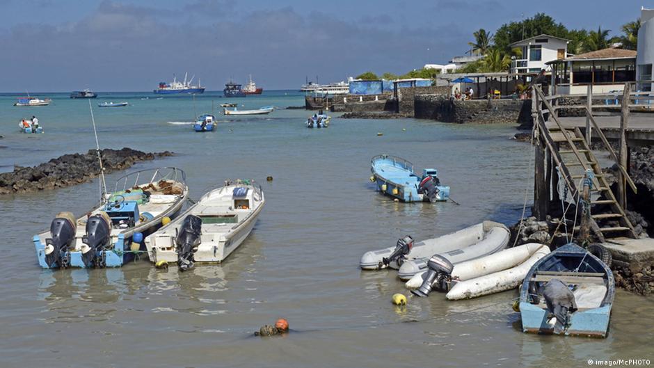 Global fishing industry in the spotlight – DW – 05/29/2014