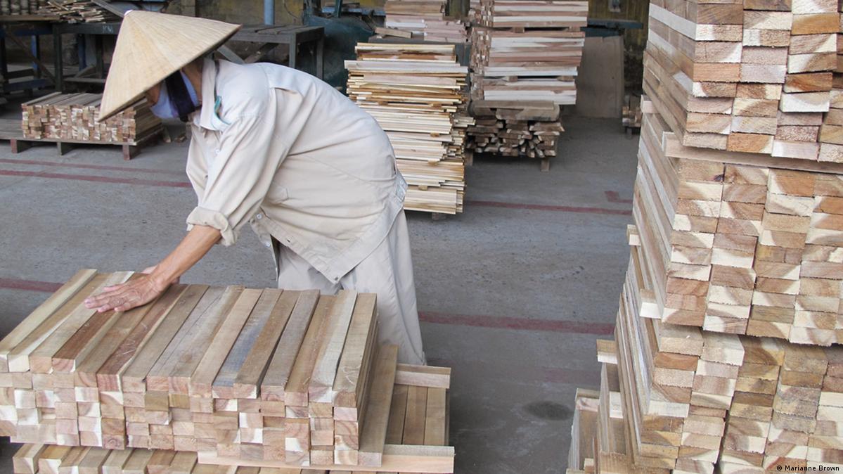 Vietnamese tree rescue – DW – 11/26/2013