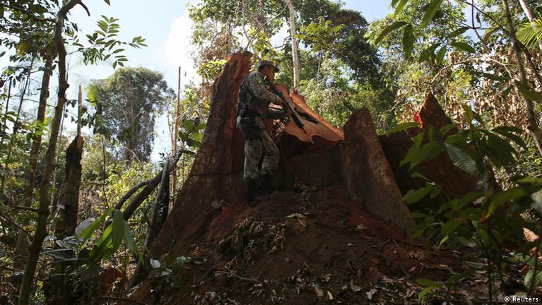 Shopping for the rainforest – DW – 06/16/2015