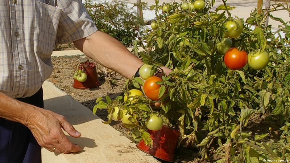 Gardening in times of climate change