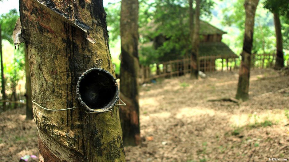 Rubber boom – DW – 02/20/2014