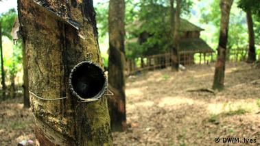 Rubber boom – DW – 02/20/2014