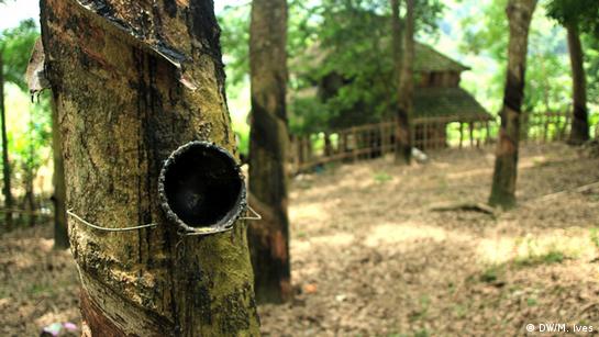 Rubber boom – DW – 02/20/2014