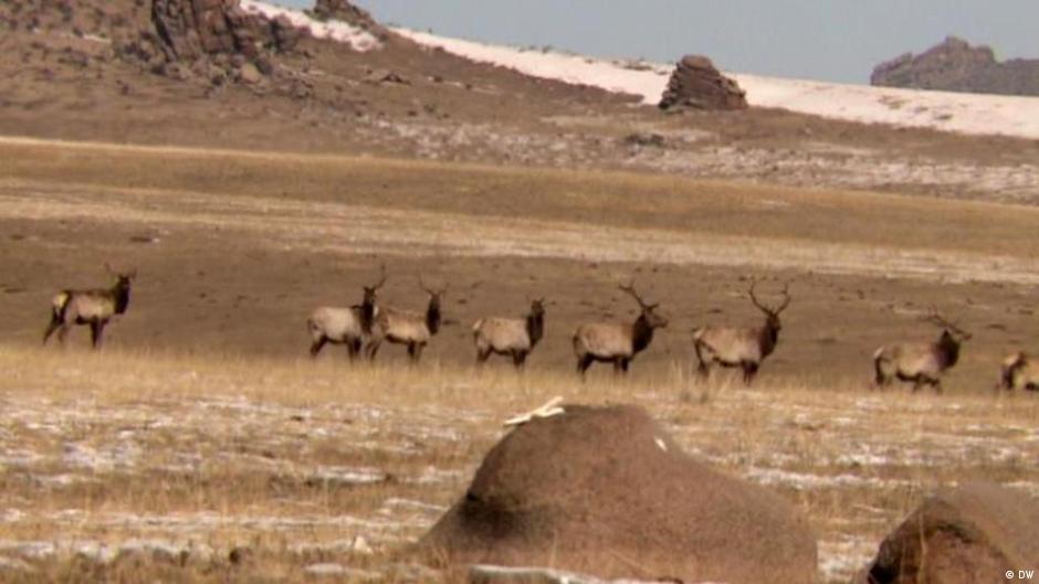 Preserving the Taiga – DW – 03/31/2014