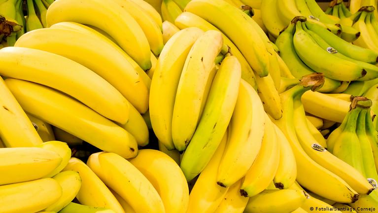 Frutas amargas