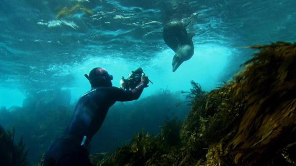 Buceo de apnea al servicio de la ciencia – DW – 14/04/2014