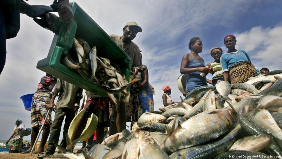 Angola tem a primeira Academia dedicada às pescas – DW – 18/07/2017