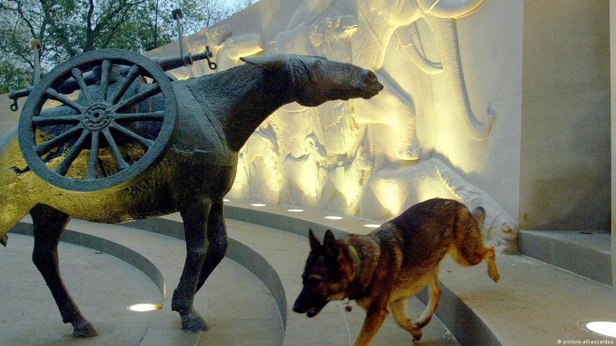 Animals in the military – DW – 04/30/2014