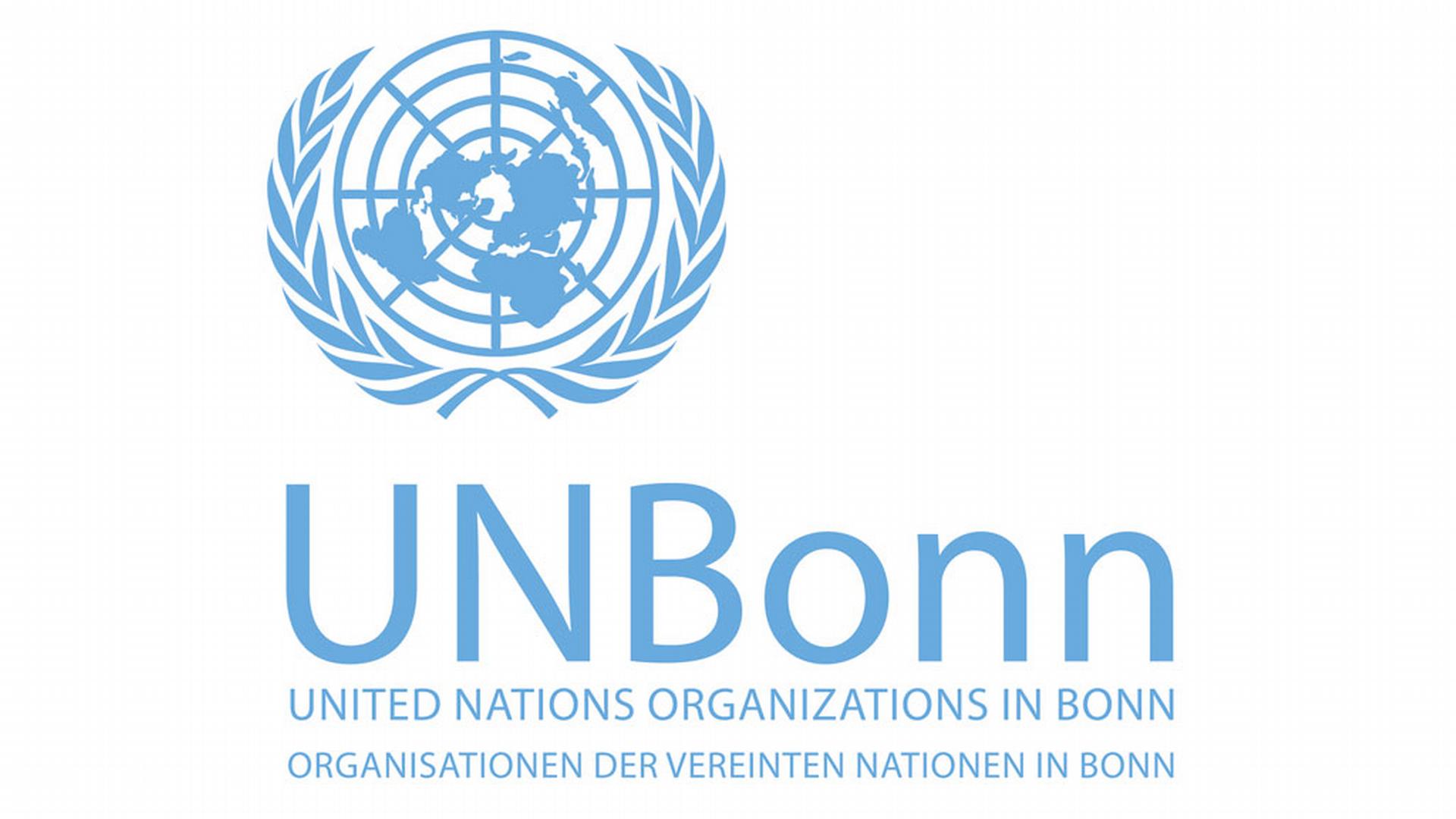 Participation and the global development agenda