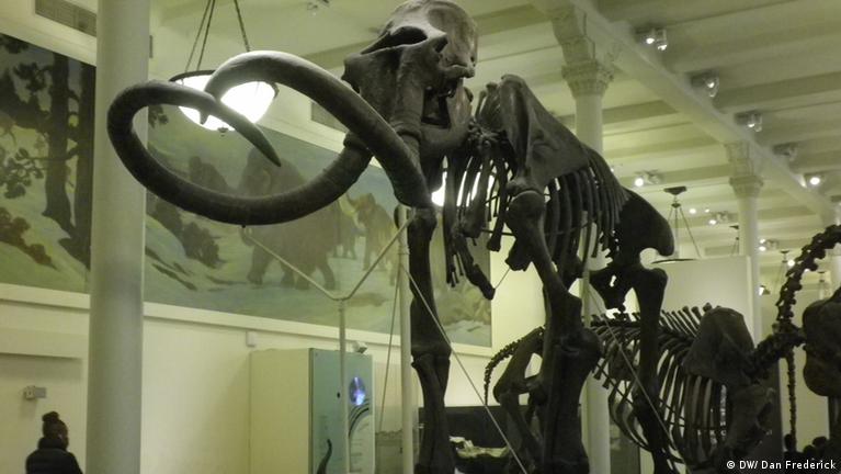 Resurrecting extinct animals – DW – 04/29/2014