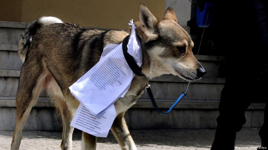 Animal cruelty in Cyprus – DW – 07/04/2014