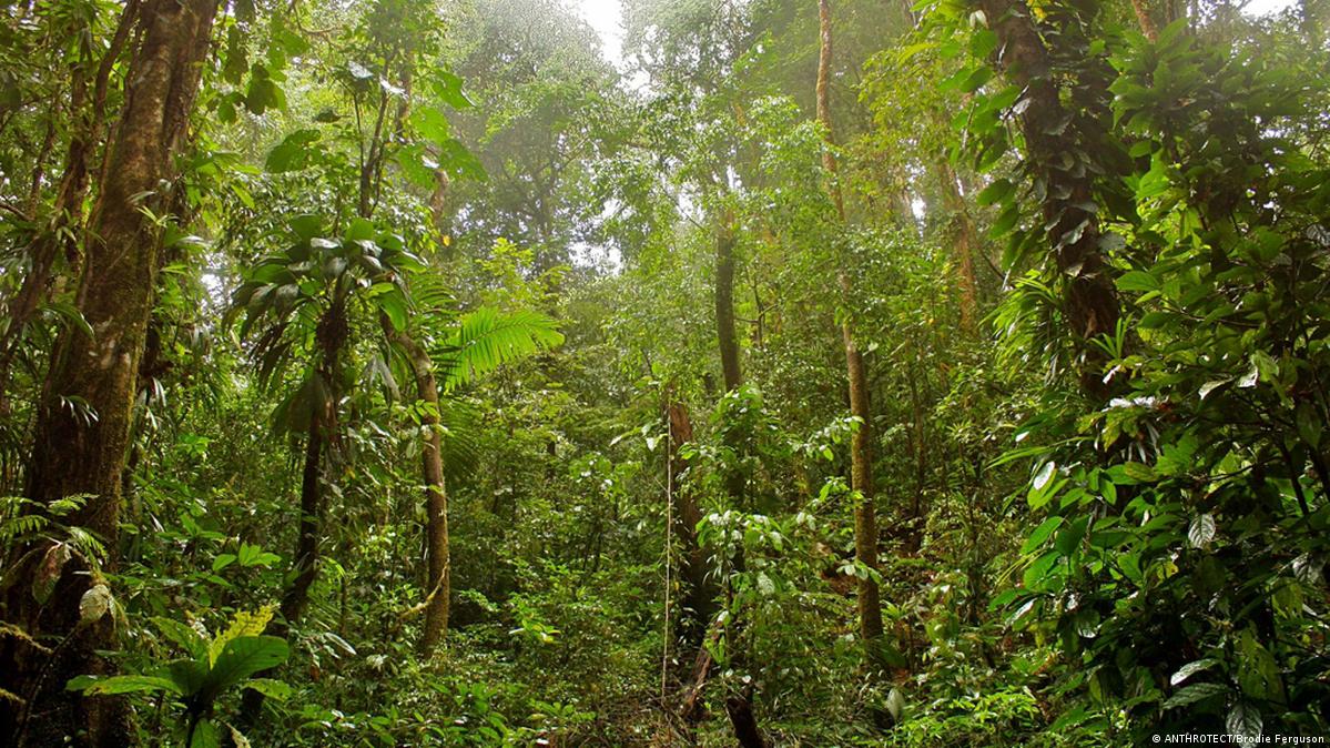 State of biodiversity – DW – 01/22/2015