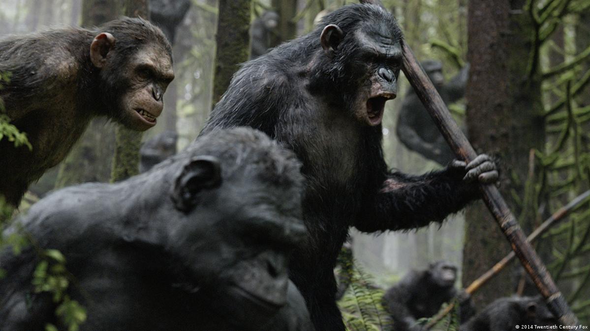 La evolucion de un género: hombres contra monos – DW – 11/08/2014